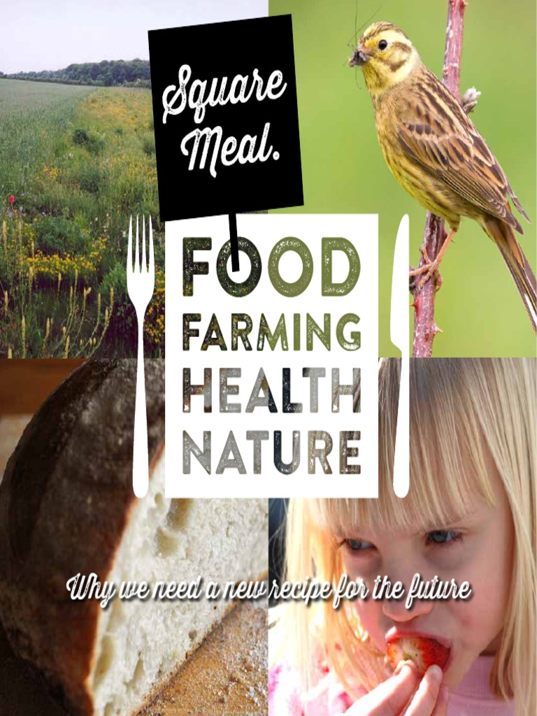 Square Meal: Why We Need A New Recipe For Farming, Wildlife, Food and Public Health | PDF ...