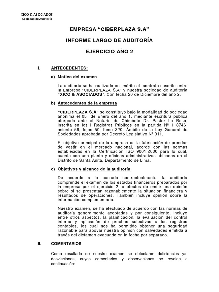 Informe Largo | PDF | Auditoría financiera | Contabilidad