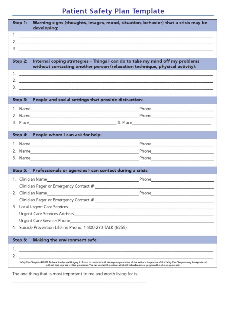 Patient Safety Plan Template Guide | PDF | Business | Finance & Money ...