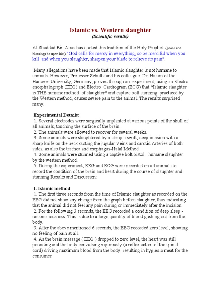 Islamic vs. Western Slaughter | PDF | Animal Slaughter | Animals And Humans