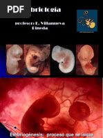 Formula Obstetrica | PDF | El embarazo | Aborto