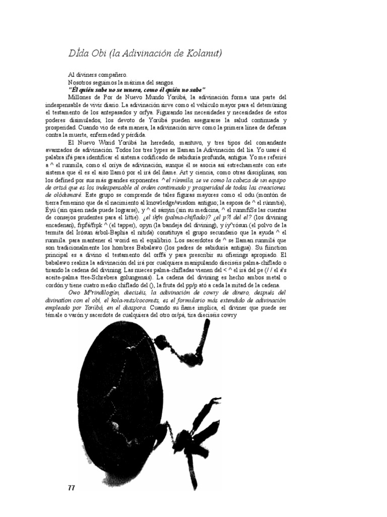 DÍda Obi (La Adivinacion Del Coco) | PDF | Religión y creencia | Naturaleza