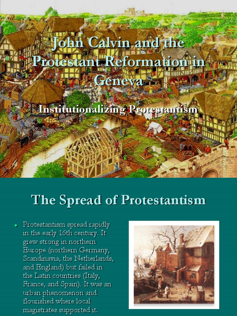 Calvin's Impact on Protestantism | PDF | John Calvin | Calvinism