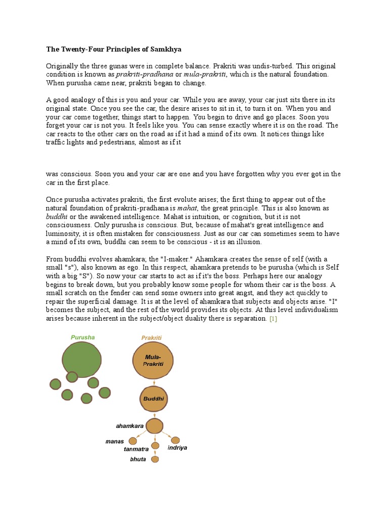The Twenty-Four Principles of Samkhya | PDF | Yoga | Mantra