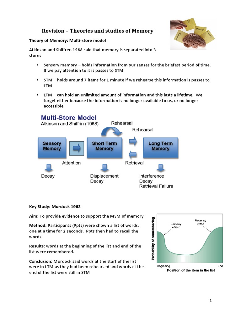 Memory Revision Guide GCSE | PDF | Recall (Memory) | Amnesia