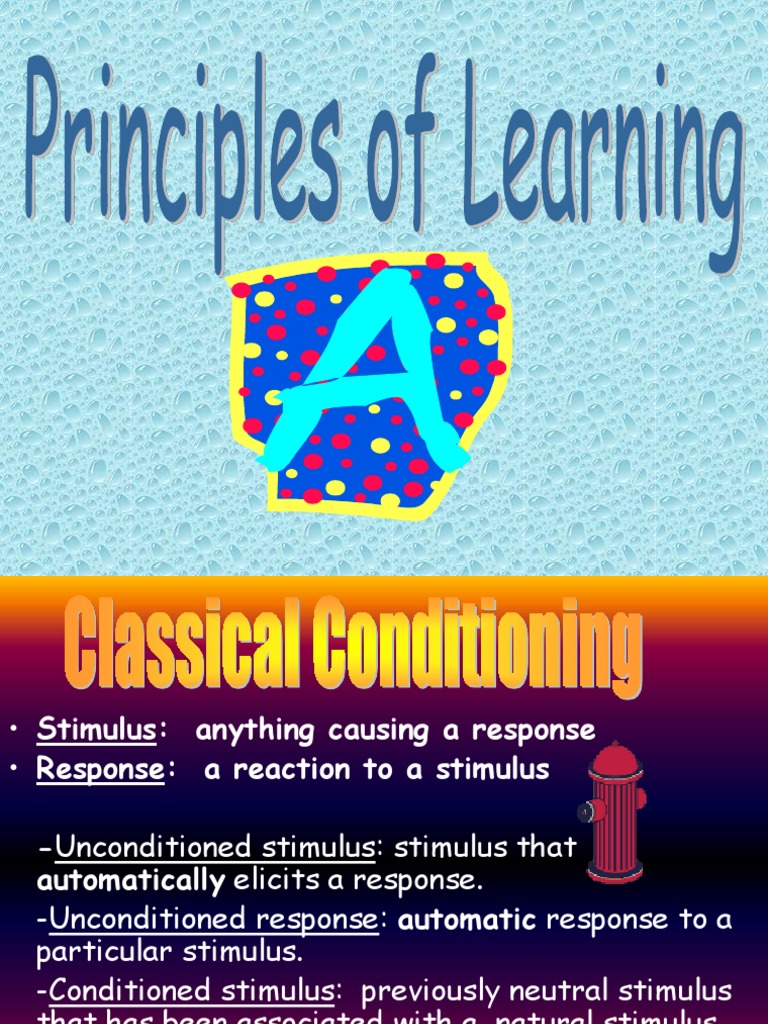 Ch. 9 Principles of Learning | PDF