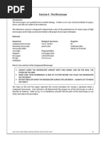 Cell Division Lab Report | PDF | Mitosis | Cell (Biology)