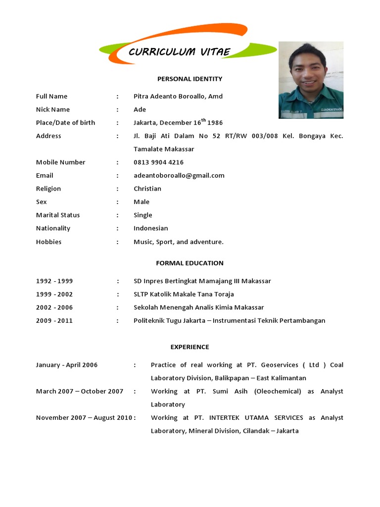 CV Ku | PDF | Materials | Chemical Substances