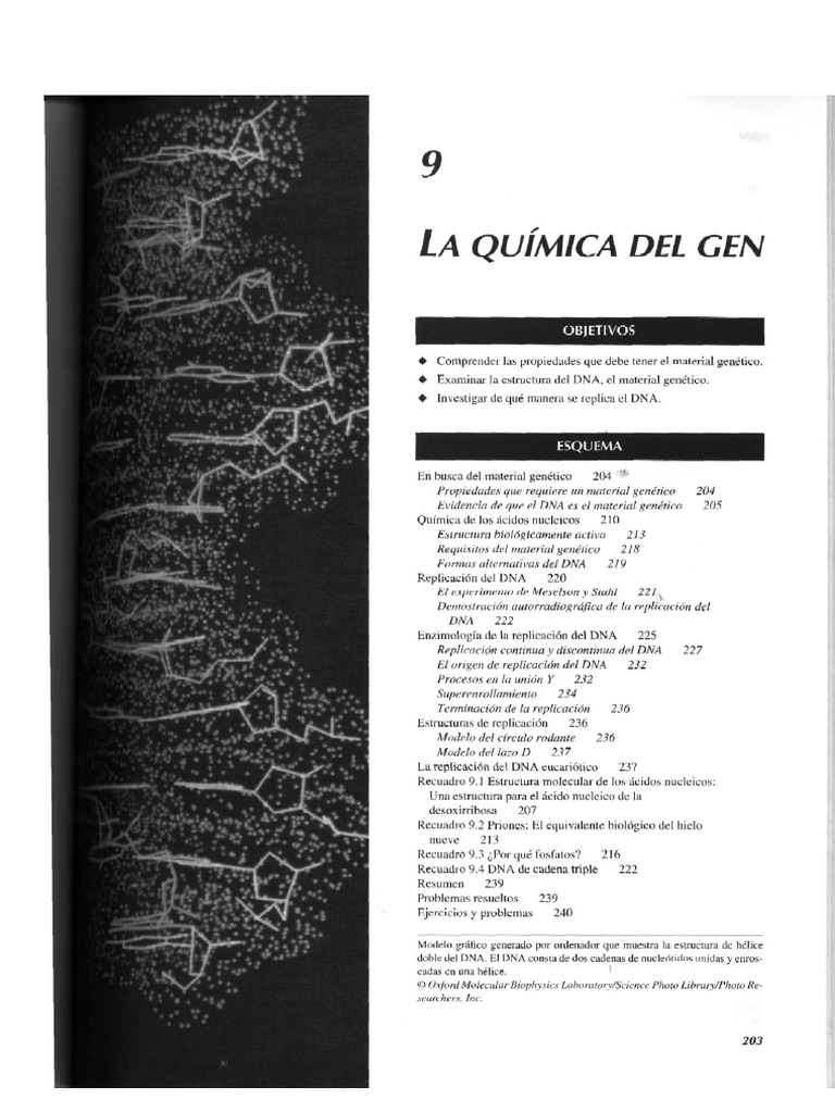 Tamarin Capitulo 9 | PDF | Replicación De Adn | Adn