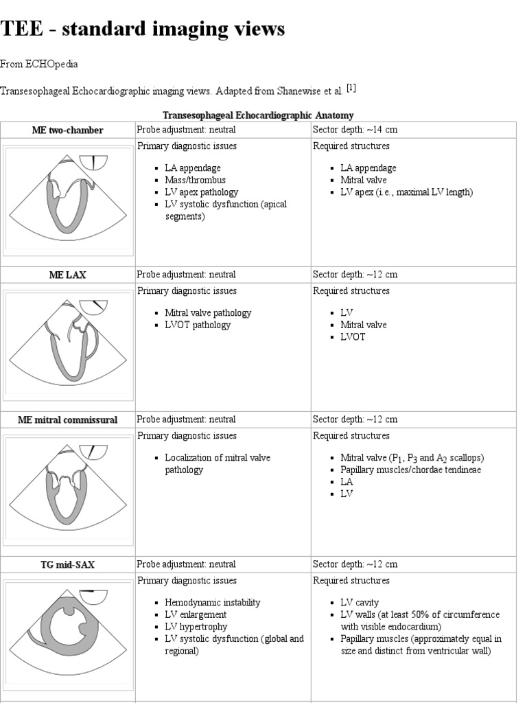 TEE - Standard Imaging Views - ECHOpedia | PDF | Heart Valve ...
