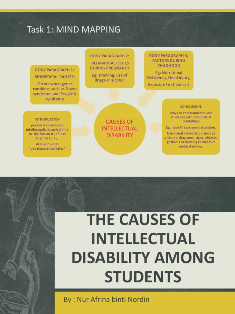 Intelectual Disability Among Students | PDF | Intellectual Disability ...