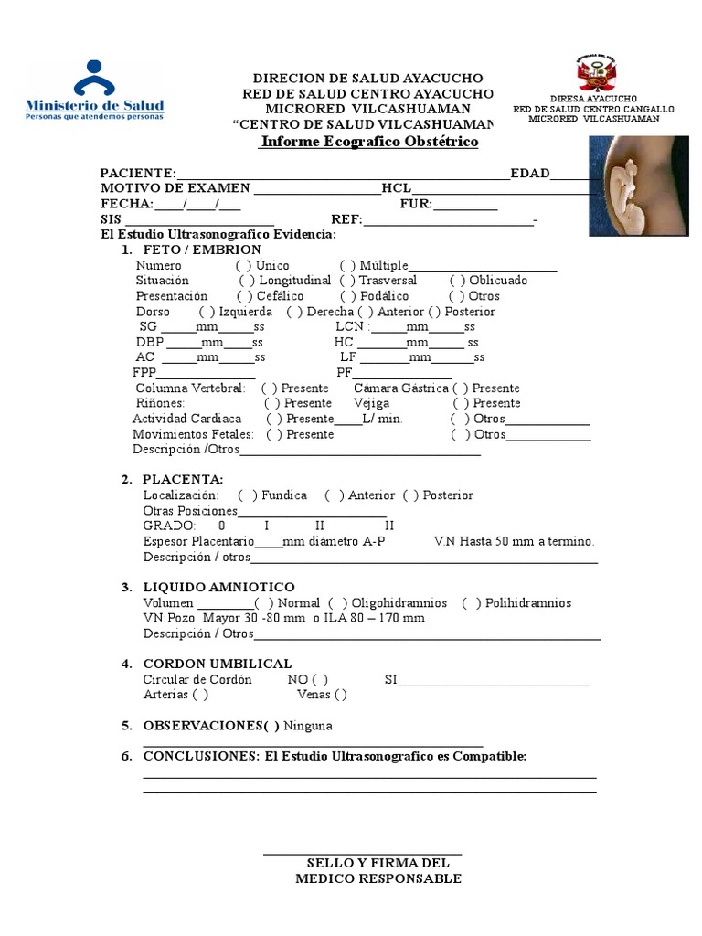 INFORME ECOGRAFICO | Feto | Órgano (anatomía) | Prueba gratuita de 30 ...