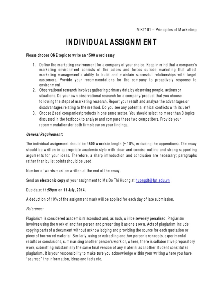 MKT101 Individual Assignment Guidelines | PDF | Plagiarism | Essays