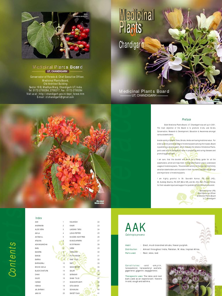 Medicinal Plants of Chandigarh Guidebook | PDF | Trees | Plants