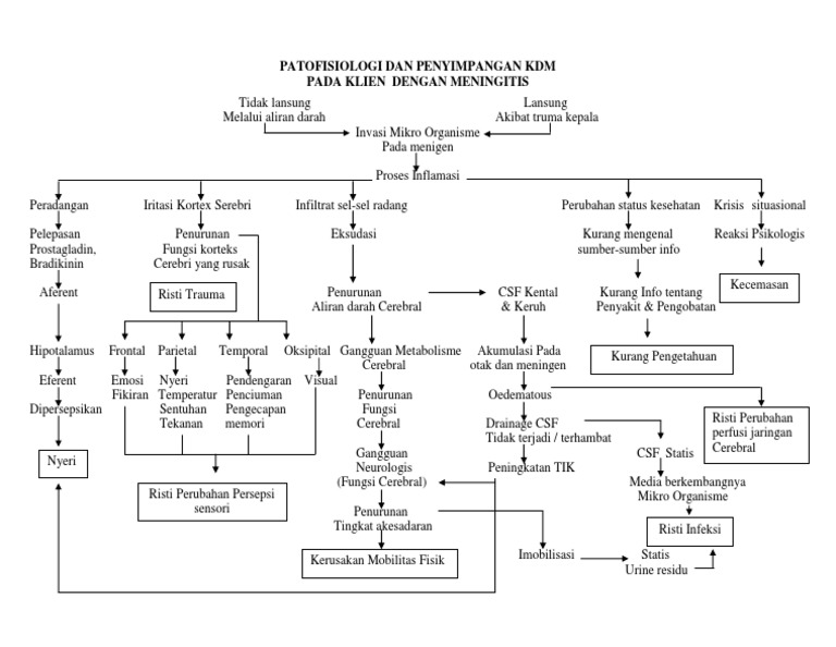 Pathway Penyimpangan KDM Meningitis