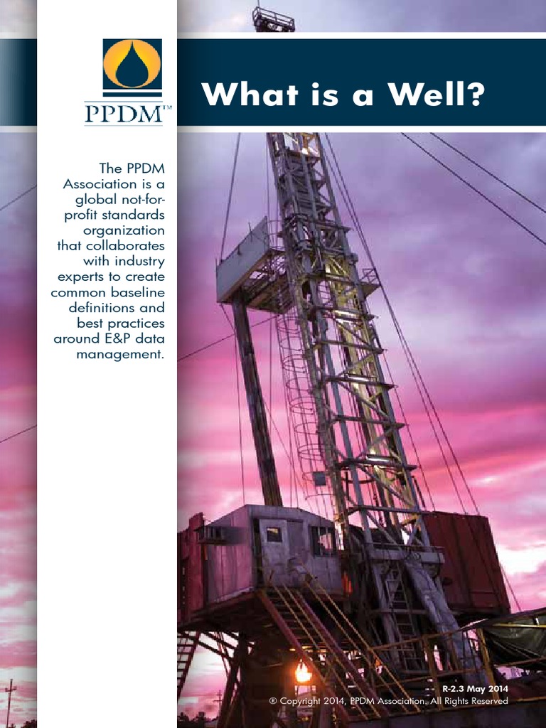 PPDM What Is A Well | PDF | Business | Computing