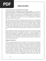 TRIPS Agreement | PDF | Trips Agreement | World Trade Organization