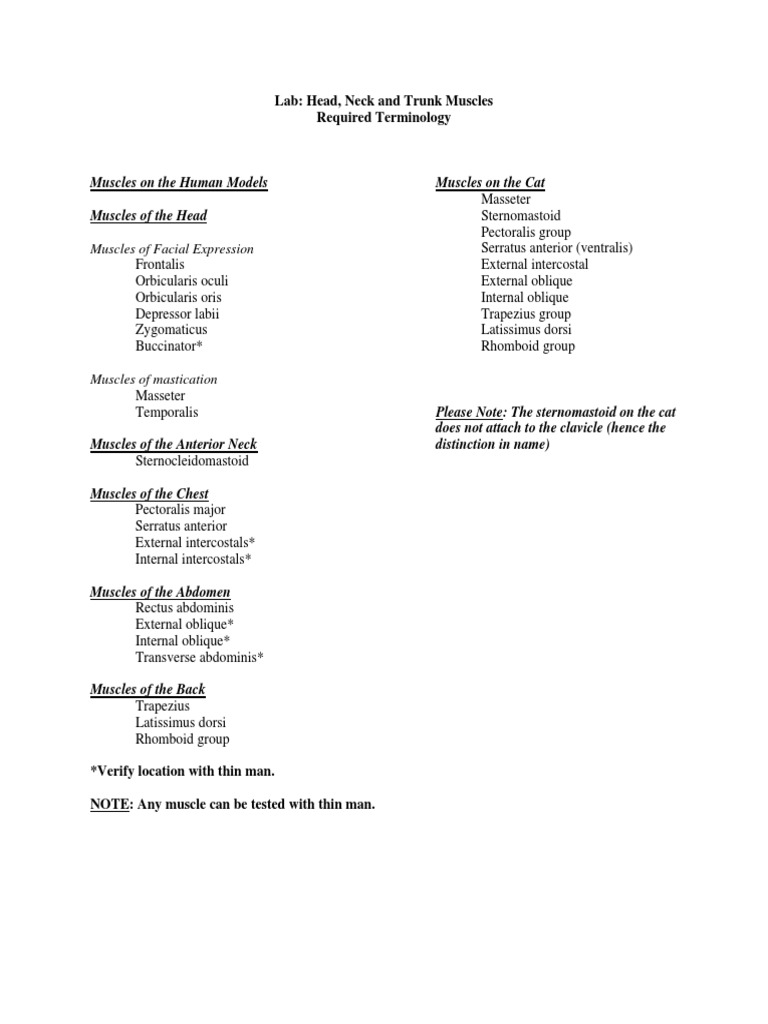Head, Neck, and Trunk Muscle Lab | PDF | Foreign Language Studies ...
