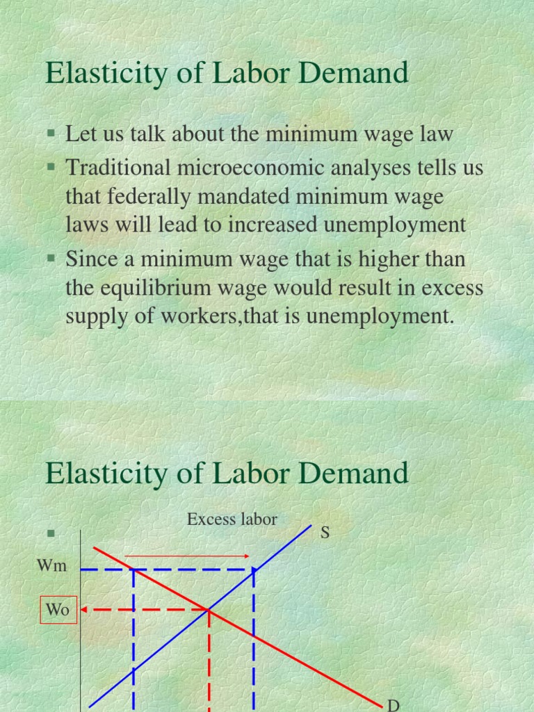 Understanding Labor Demand Elasticity | PDF | Labour Economics | Demand