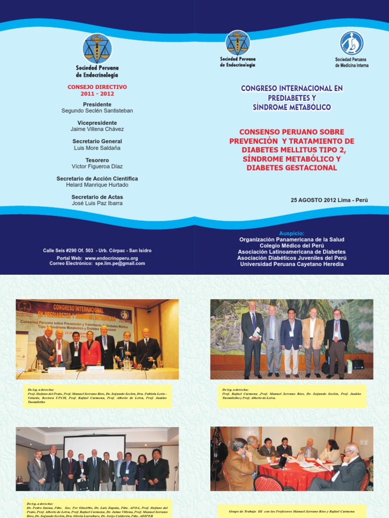Consenso sobre Diabetes Gestacional en Perú | PDF | Diabetes | Síndrome ...