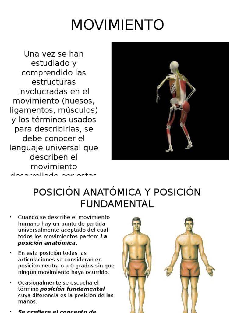 Planos y Movimientos Anatomicos | PDF | Mano | Términos anatómicos de ...