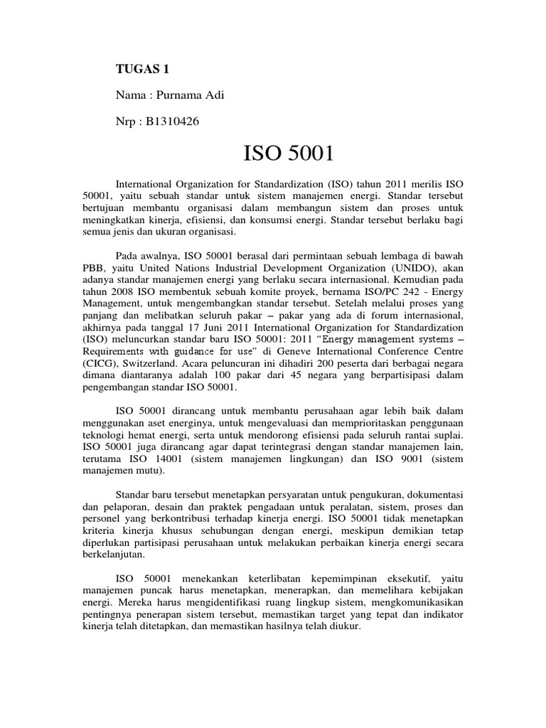 Iso 5001 | PDF