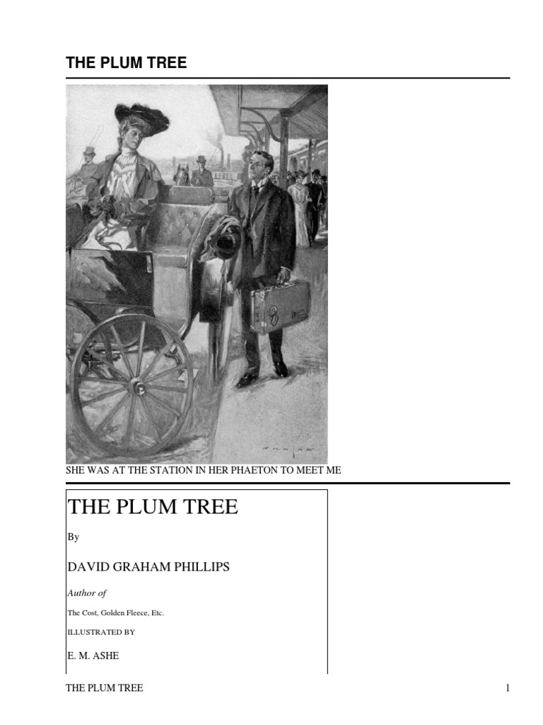 The Plum Tree by Phillips, David Graham, 1867-1911 | PDF | Young Adult