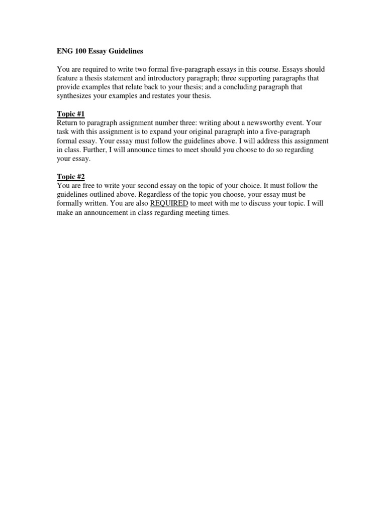 ENG 100 Essay Guidelines | PDF
