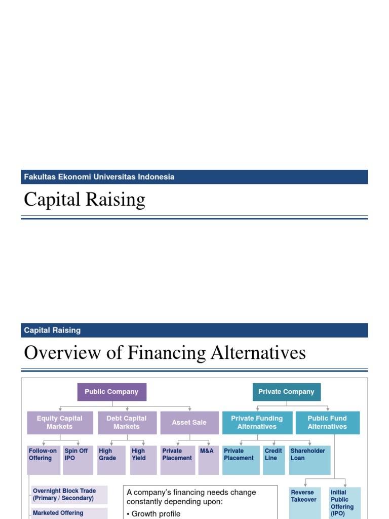 Capital Rising | PDF | Stocks | Initial Public Offering
