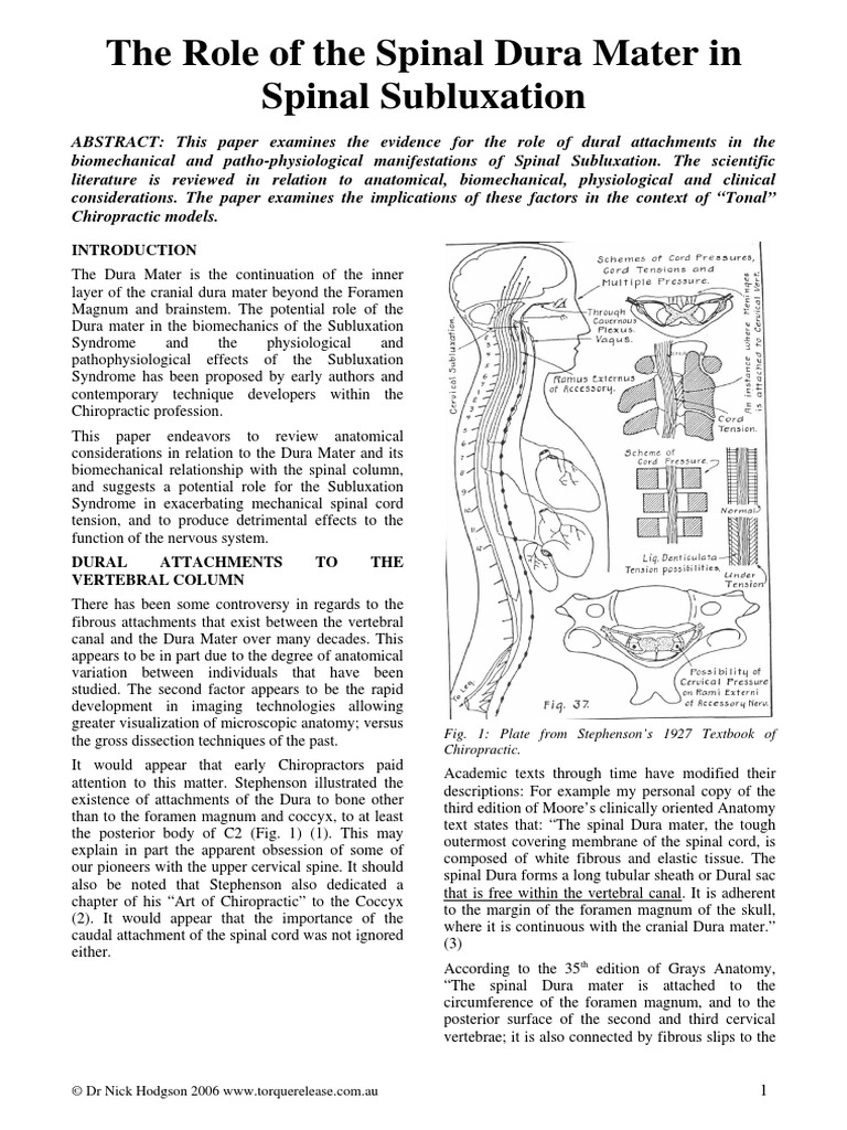 Dentate Ligament | PDF | Vertebral Column | Spinal Cord