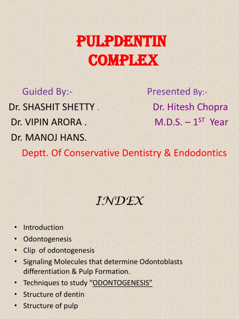 Pulp Dentin Complex | PDF | Dentin | Epithelium
