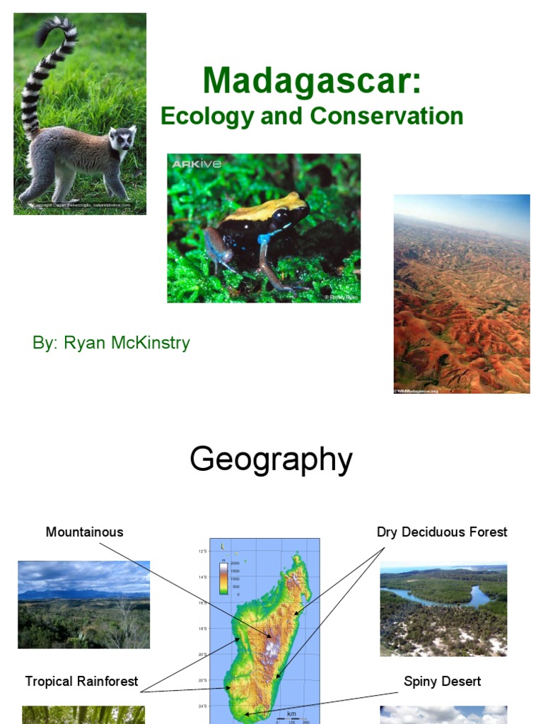Madagascar:: Ecology and Conservation | PDF | Conservation Biology ...