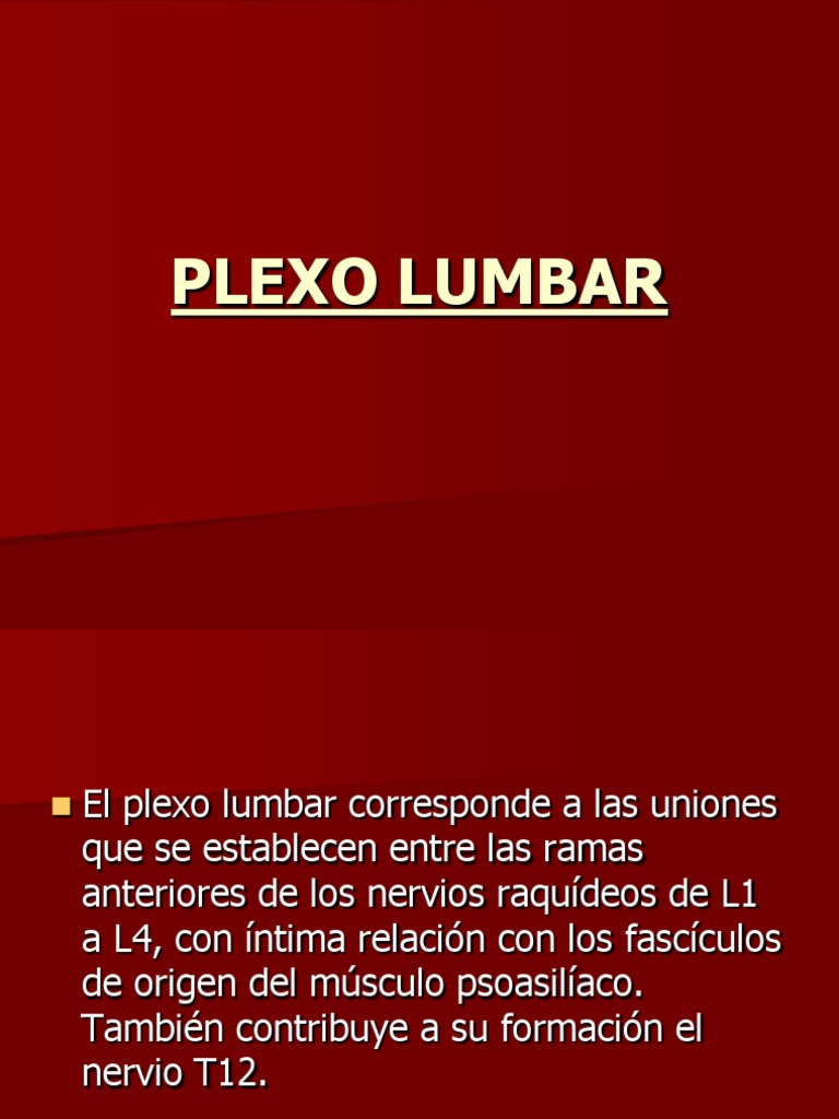 Plexo Lumbar | PDF | Anatomía humana | Anatomía del miembro inferior