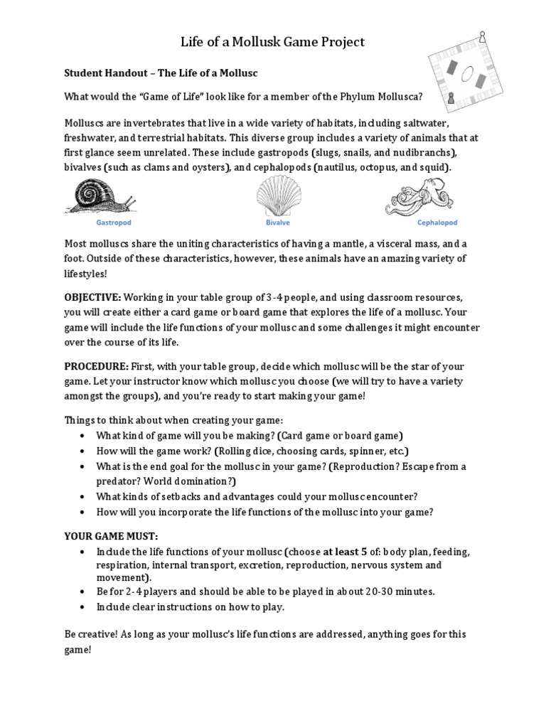 Mollusca Activity Game Design | PDF | Mollusca | Molluscs