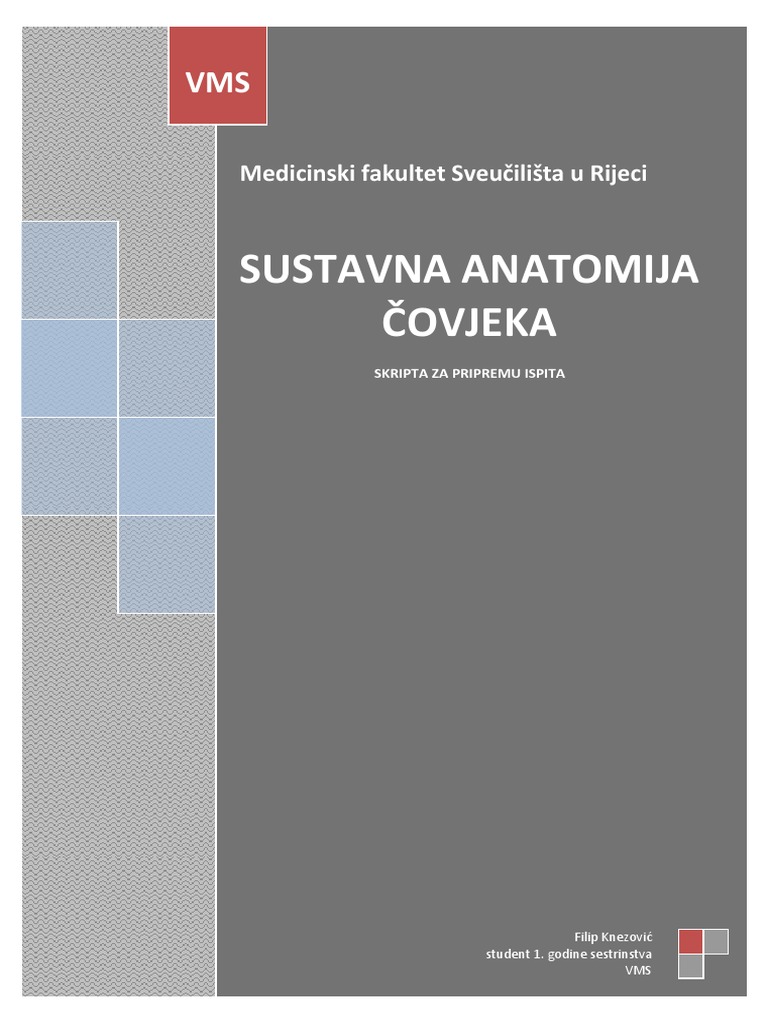 Anatomija - Skripta Za Pripremu Ispita Studij Sestrinstva | PDF
