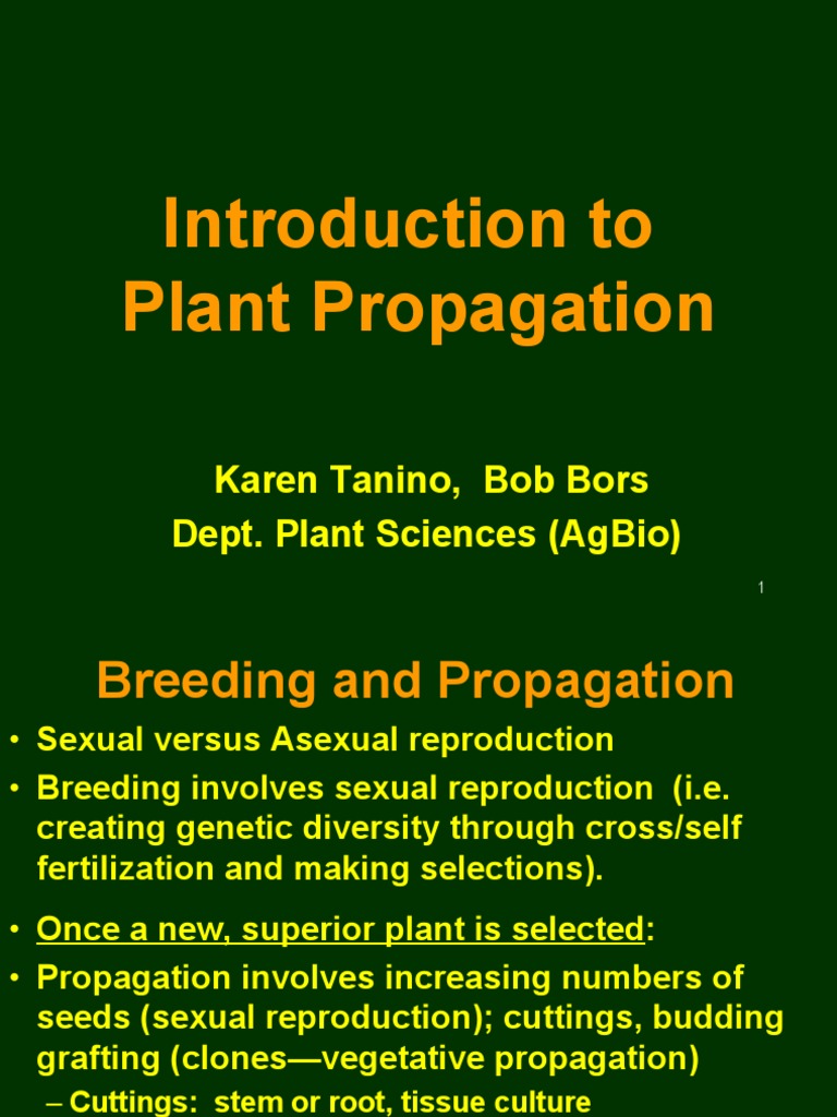 Hort Club Plant Propagation | PDF