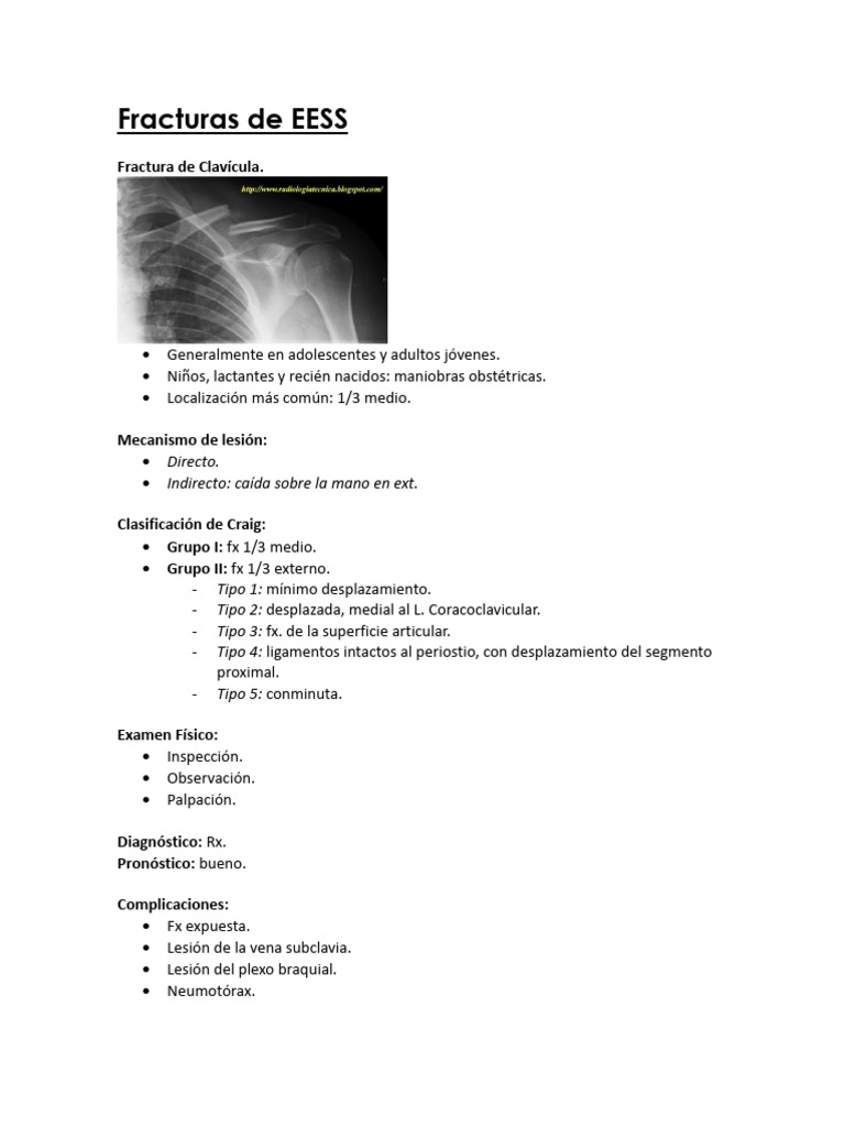 Fracturas de EESS Clase 2 | PDF | Sistema esquelético | Sistema musculoesquelético