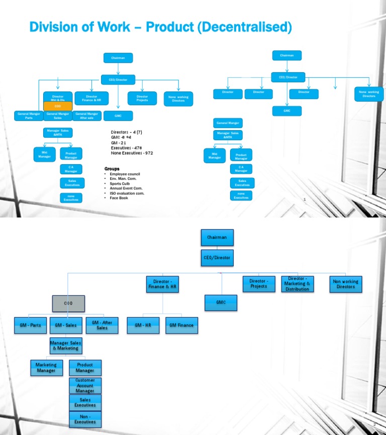 Decentralized Work Division Structure | PDF