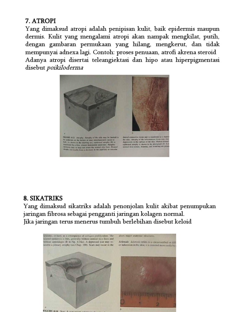 Pemeriksaan UKK Kulit | PDF