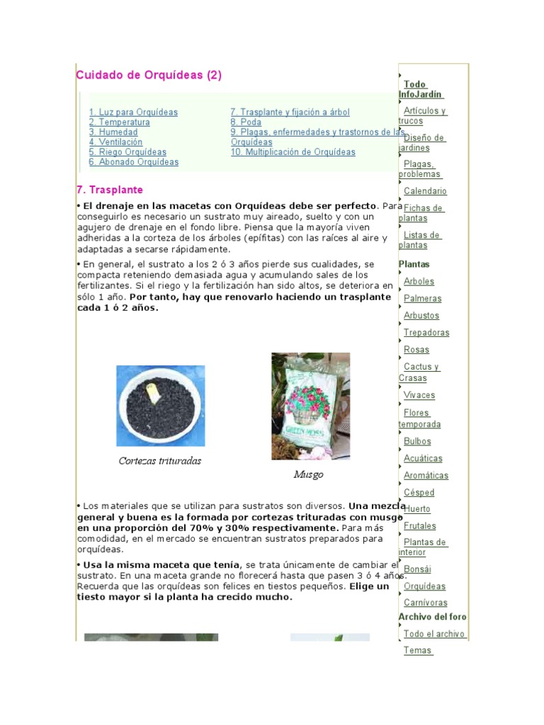 Cuidado de Orquideas y Su Manejo | PDF | Orchidaceae | Jardinería