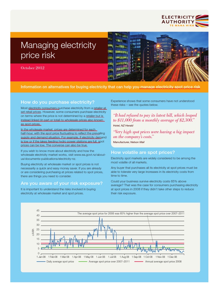 Managing Electricity Spot Price Risk Flyer | PDF | Prices | Risk