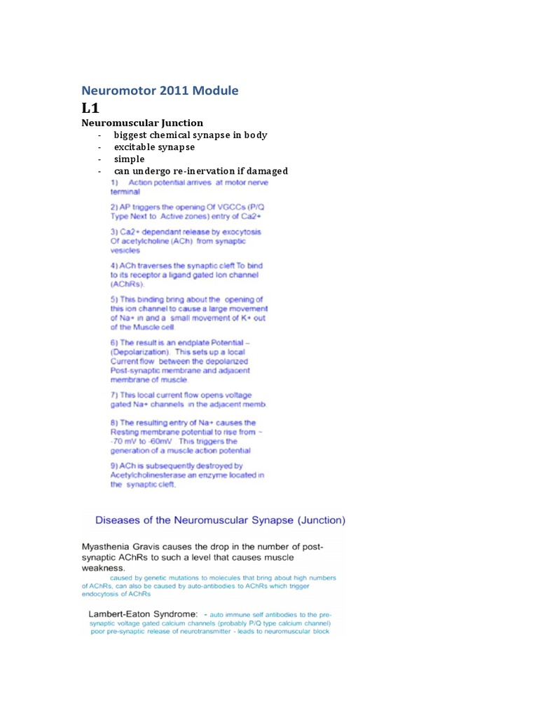 Neuromuscular Junction & Force Grading | PDF