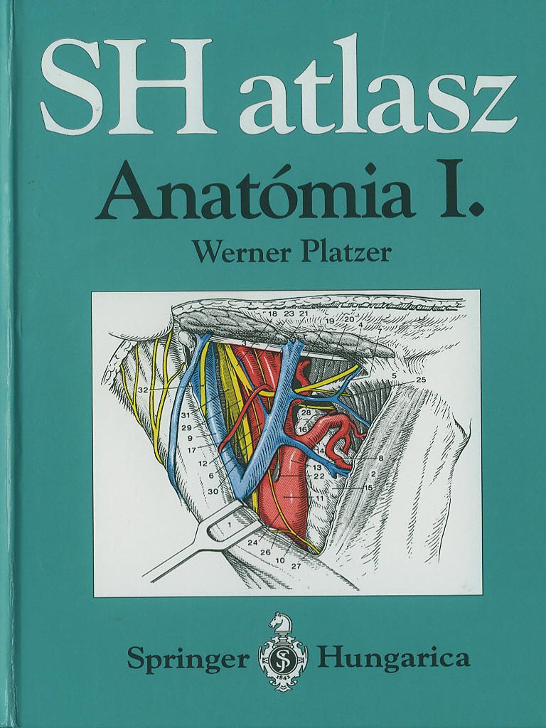 Werner Platzer SH Atlasz Anatómia I. Kötet | PDF