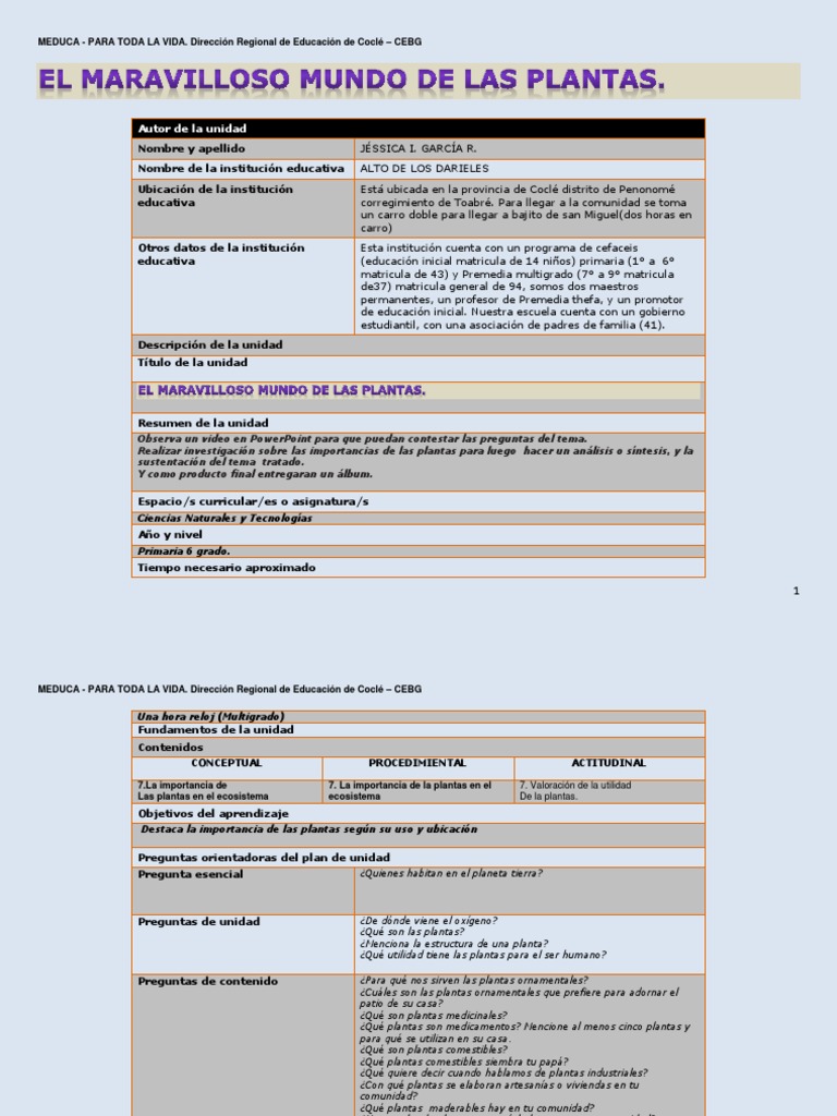 El Maravilloso Mundo de Las Plantas | PDF | Internet | Jardín de infancia