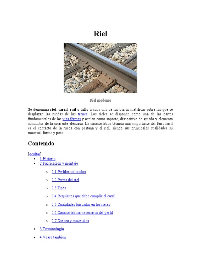 Riel y Sus Tipos | PDF | Transporte ferroviario | Tren