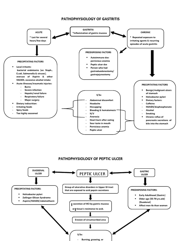 Pathophysiology of Gastritis Overview | PDF