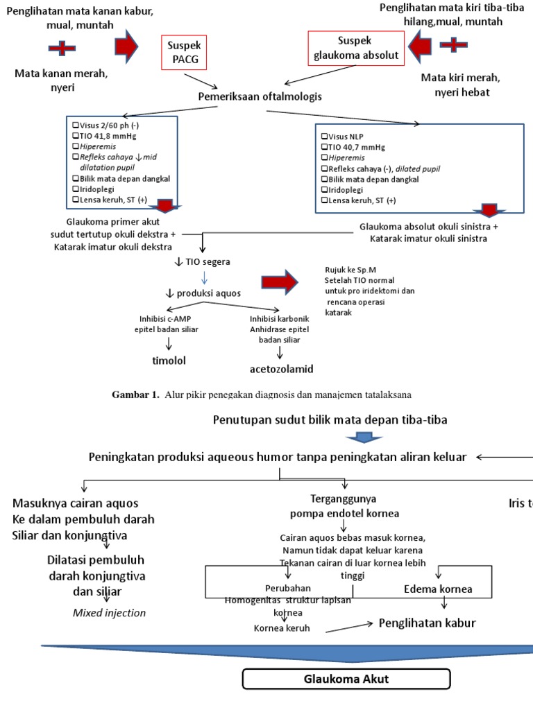 Alur Phantom Mata | PDF | Kesehatan Holistik | Sains & Matematika