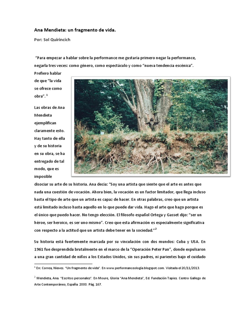 Ana Mendieta: Arte, Identidad y Performance | PDF | Escultura | Artes ...