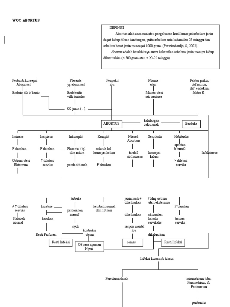 Pathway Abortus Maternity | PDF | Kesehatan Holistik