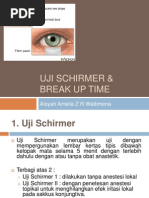 Tes Seidel & Flurosein | PDF